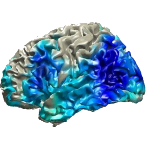 | Vitória Piai - Lab